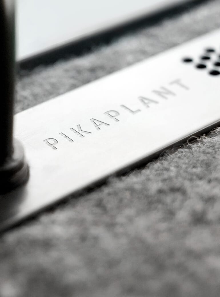 Pikaplant: The House Plants That You Never Need To Water | OPUMO