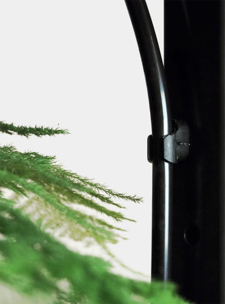 Pikaplant: The House Plants That You Never Need To Water | OPUMO