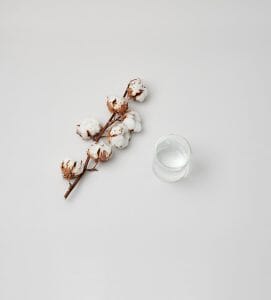 Everything you need to know about ASKET | OPUMO Magazine