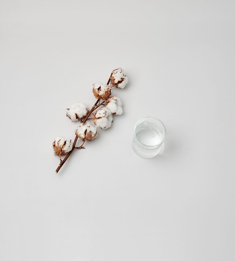 Everything you need to know about ASKET | OPUMO Magazine