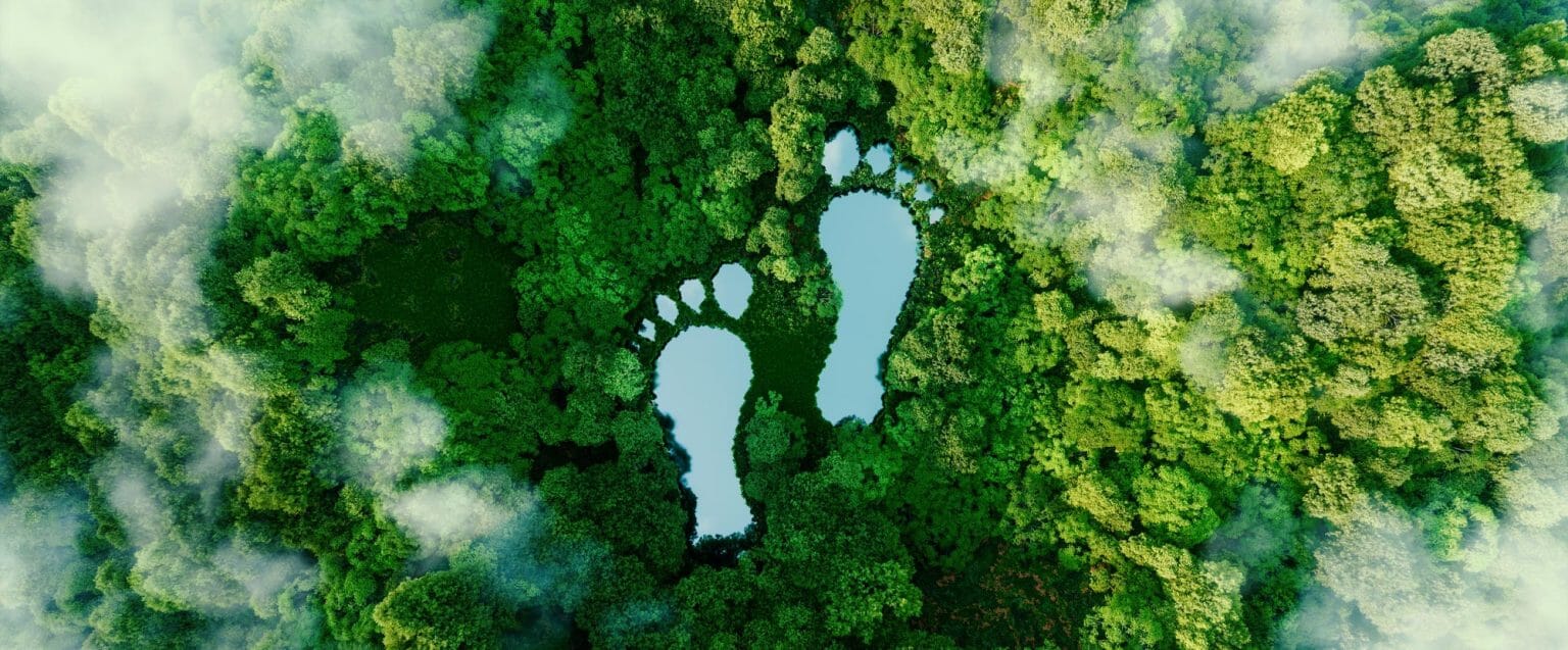 The ins & outs of carbon offsetting for the conscious consumer | OPUMO ...