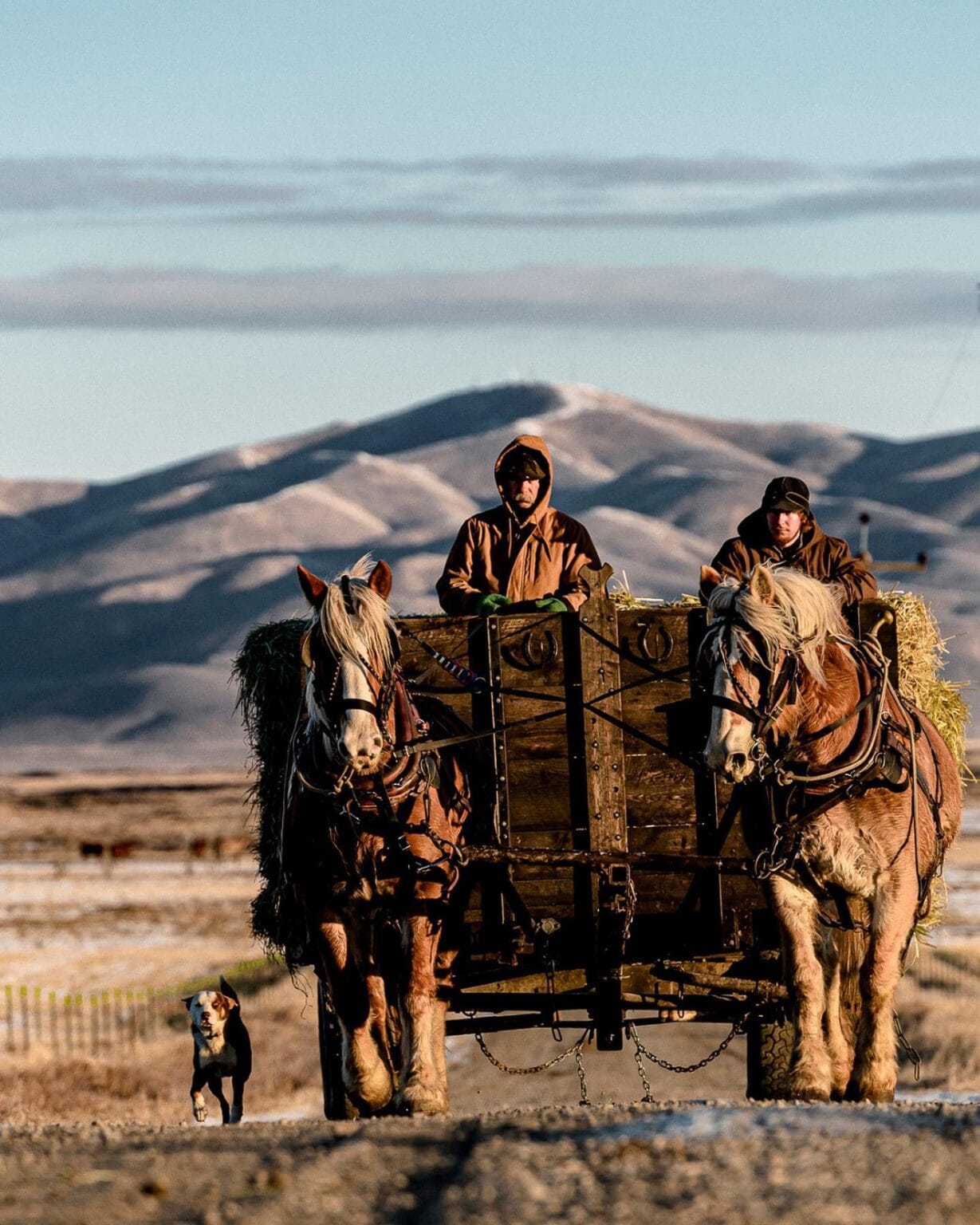 Dickies sizing guide: Find your fit | OPUMO Magazine