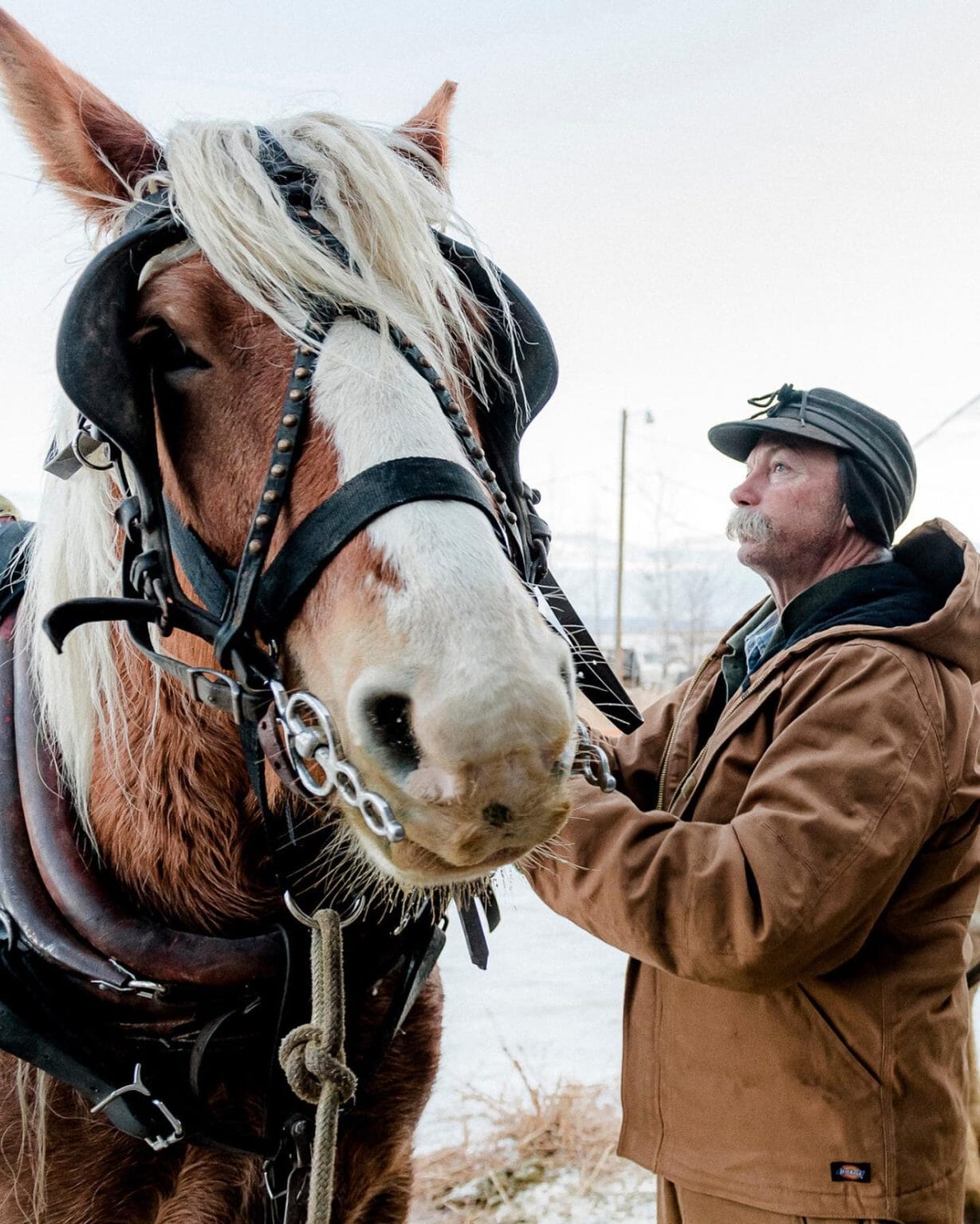 Dickies sizing guide: Find your fit | OPUMO Magazine